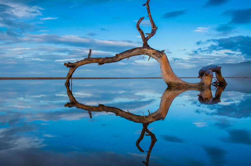 Herbertville Coastline - Glen Howey Photography